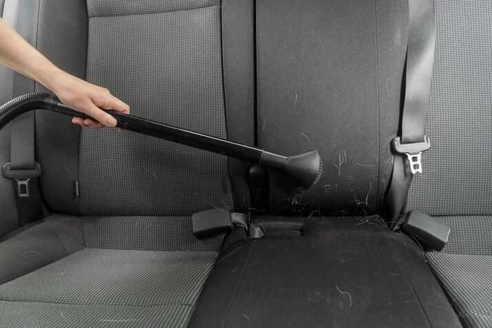 Best Ways to Remove Dog Hair from Car: Top Cleaning Tips